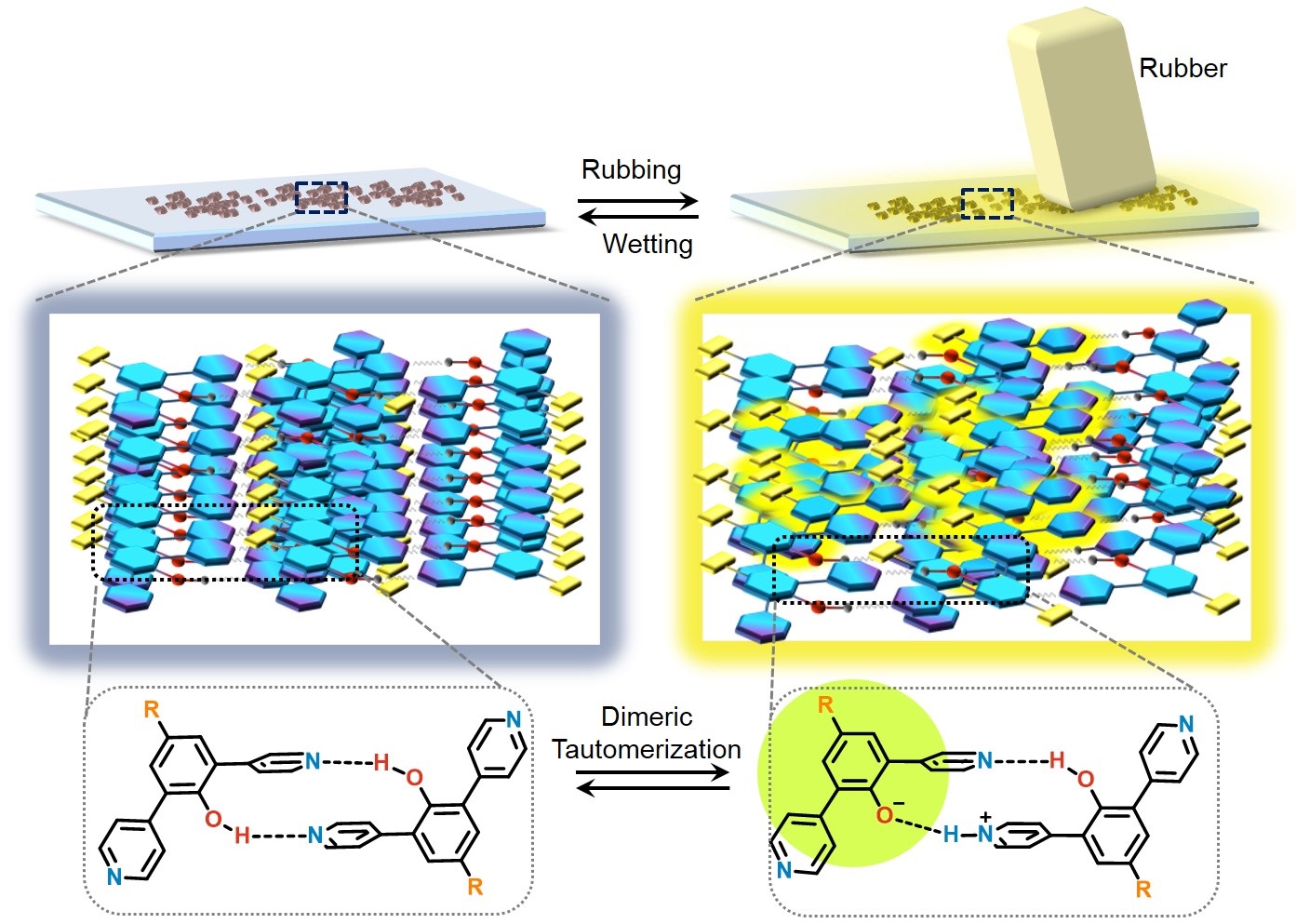 复旦大学朱亮亮课题组