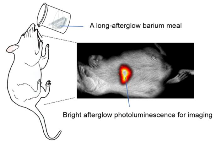 复旦大学朱亮亮课题组