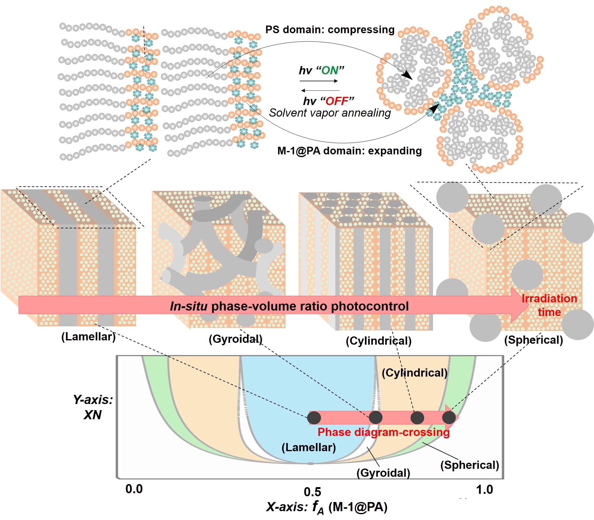 复旦大学朱亮亮课题组